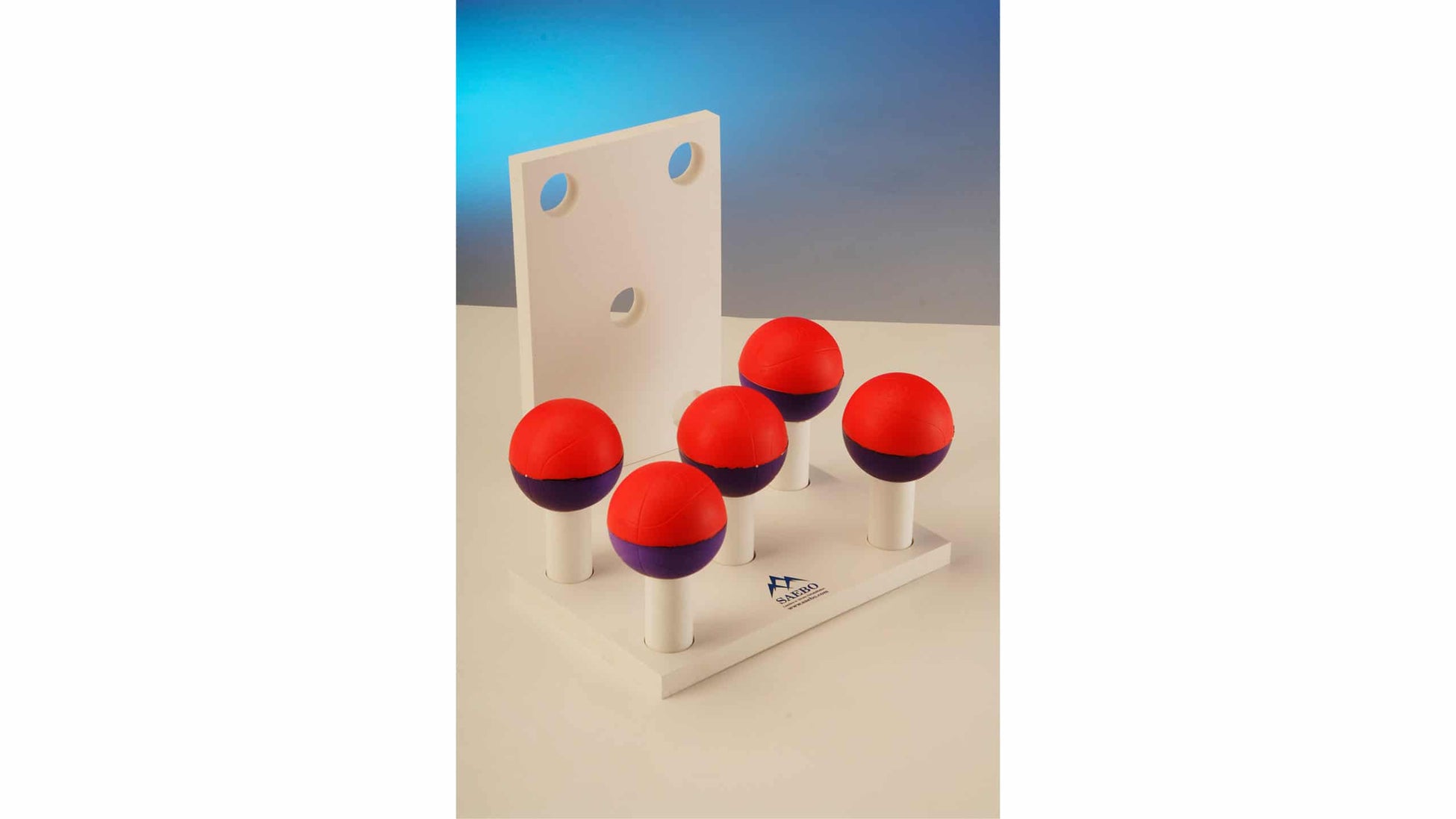 Products – Saebo