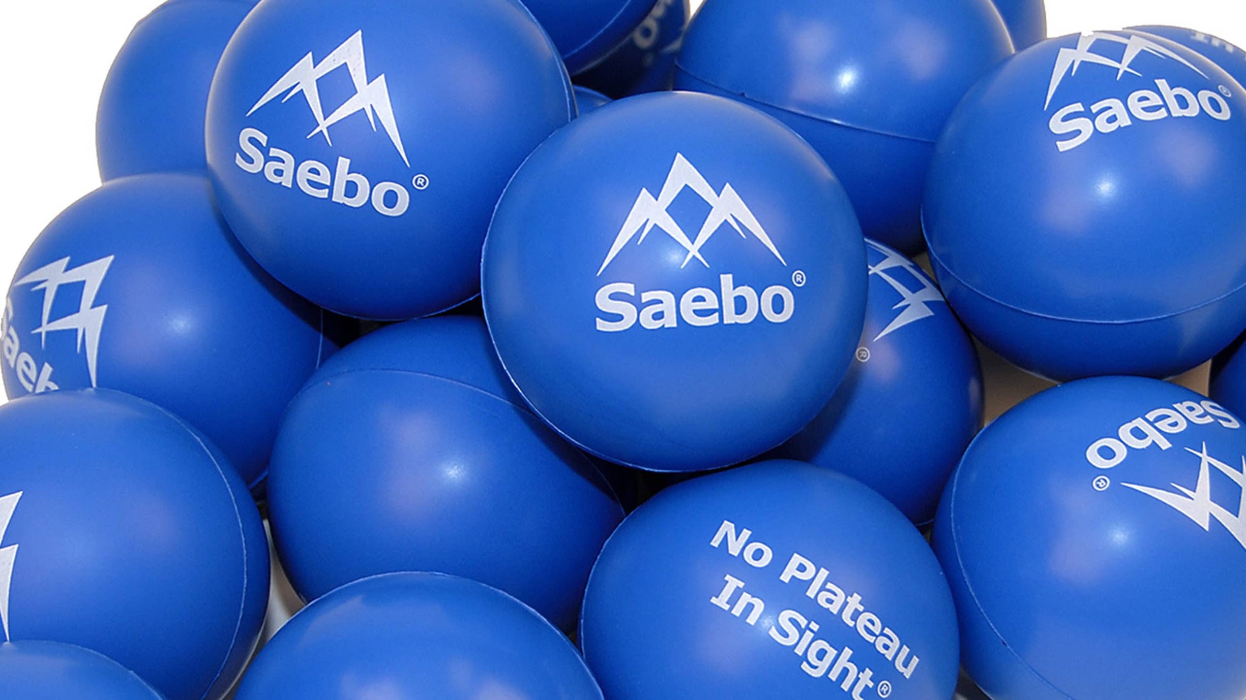 Products – Saebo